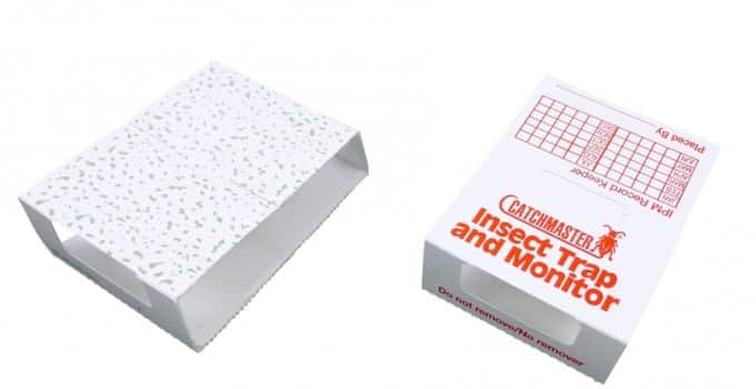 Brown Recluse Spider Info - Spider Trap Resource Center